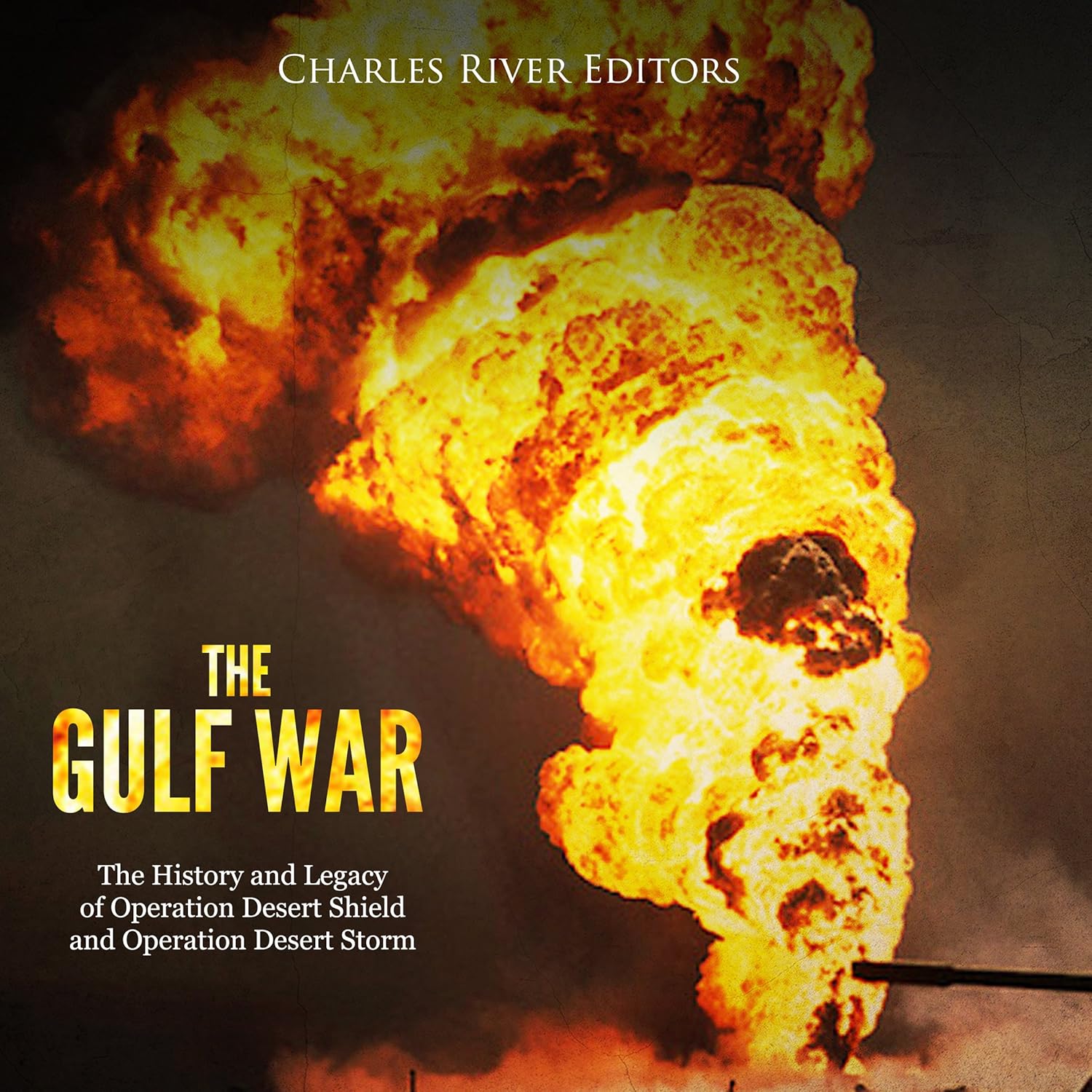 Amazon.com: The Gulf War: The History and Legacy of Operation Desert ...