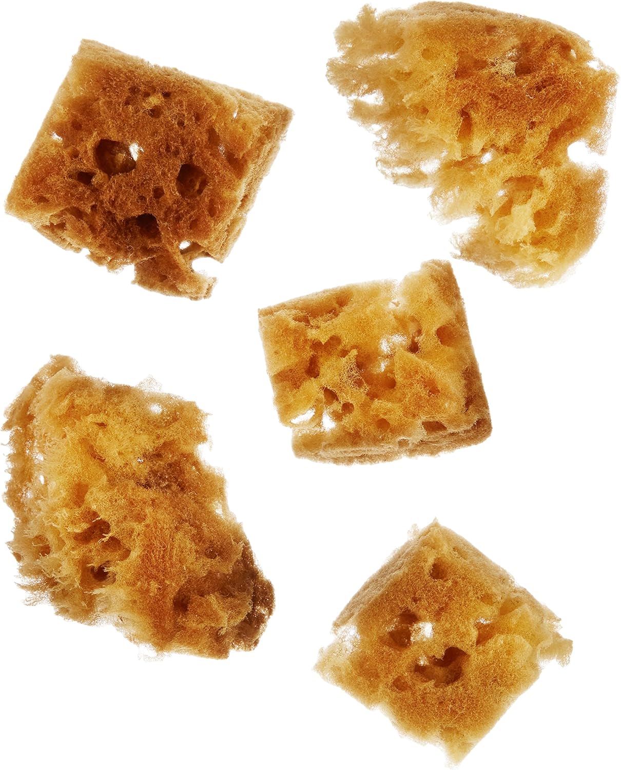 Amazon.com: FolkArt Natural Sponge Set, Small