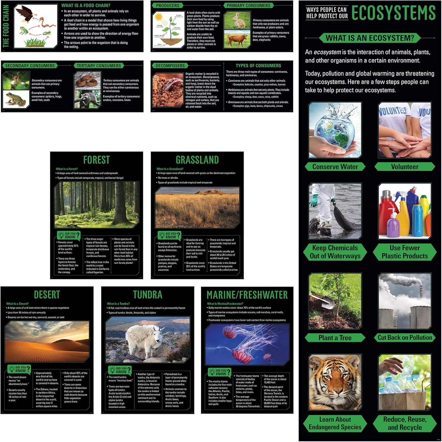 Amazon.com: Creative Teaching Press Ecosystems Essentials Pack (5 ...