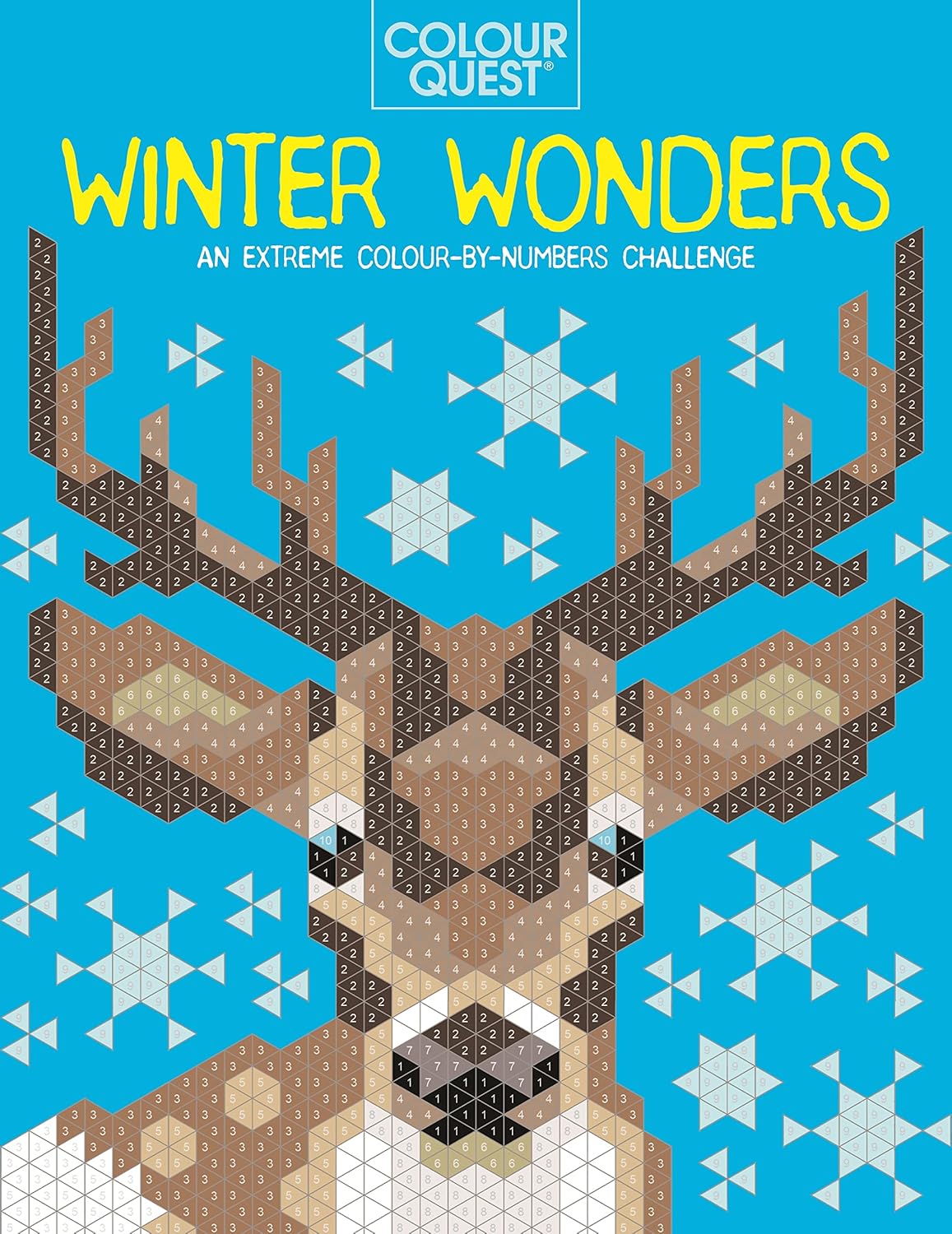 Colour Quest®: Winter Wonders: An Extreme Colour by Numbers Challenge ...