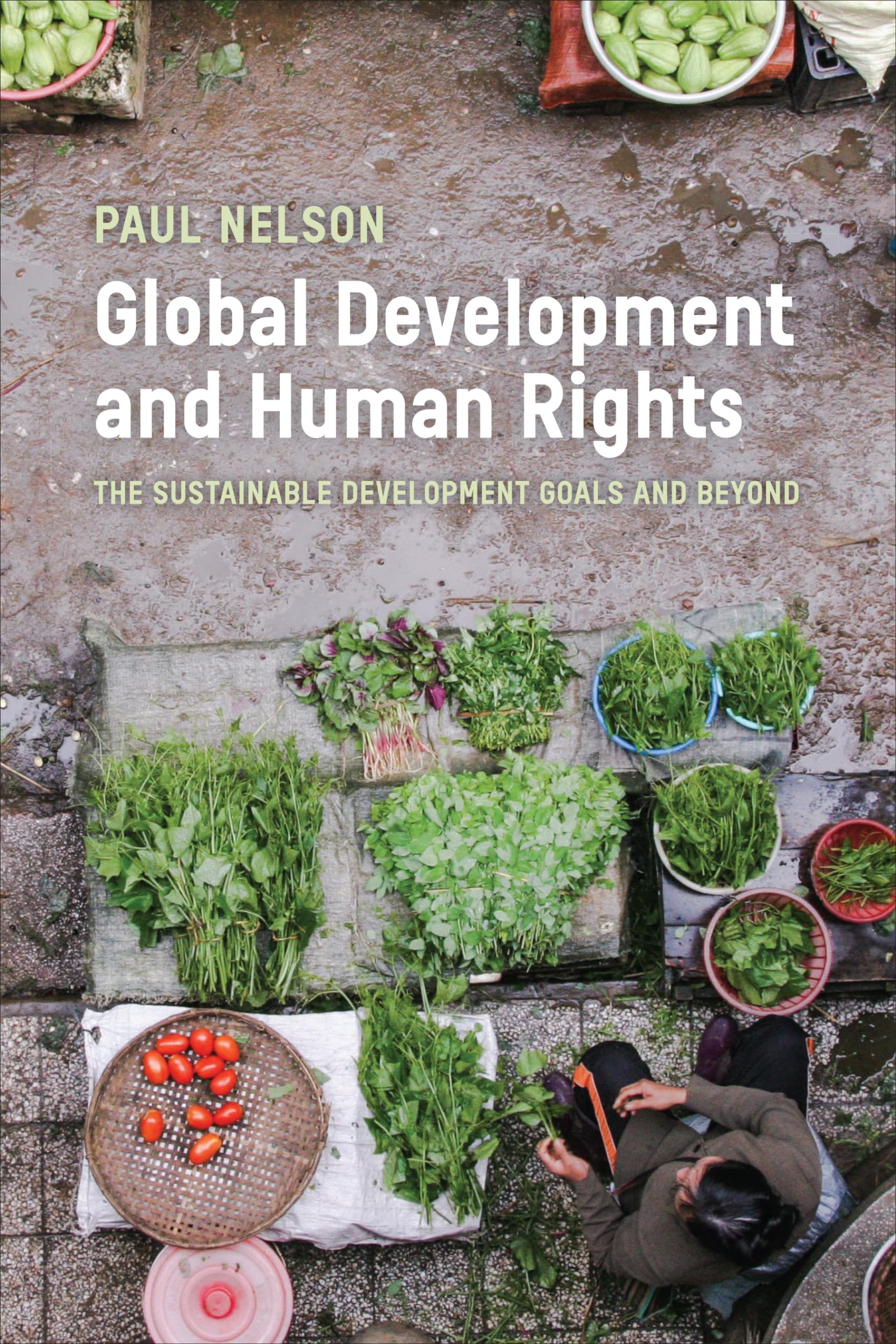 Global Development and Human Rights: The Sustainable Development Goals ...