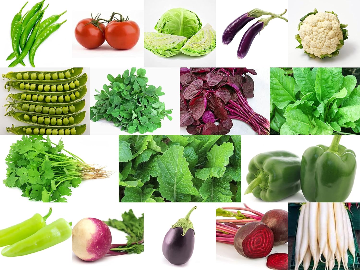 OL Seeds - Winter Season Vegetable Seeds Combo of 19 Varieties For Your ...