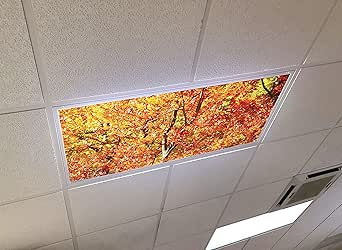 Fall Leaves - 2ft x 4ft Drop Ceiling Fluorescent Decorative Ceiling ...