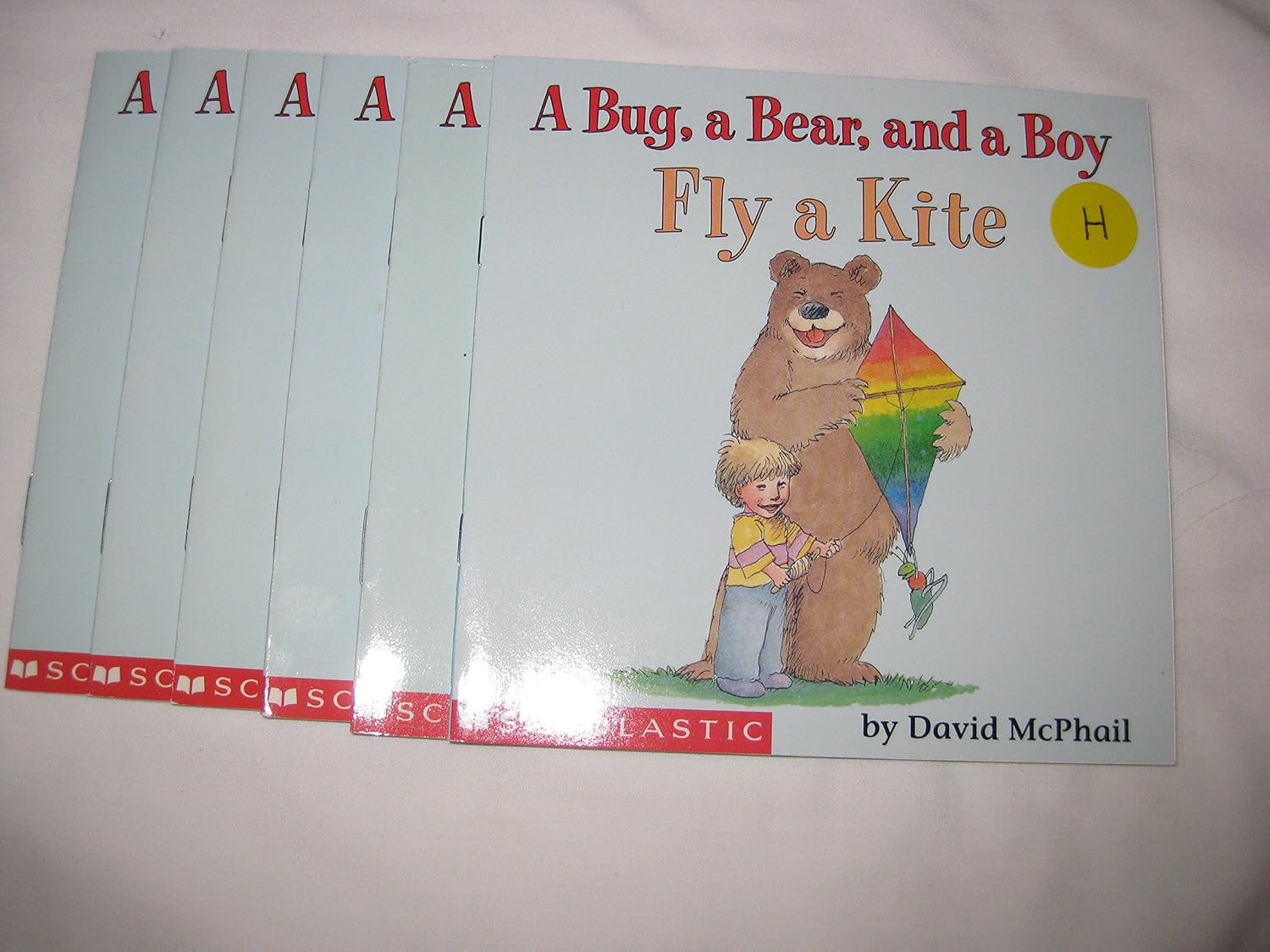 Leveled Guided Reading Set - A Bug, a Bear, and a Boy Fly a Kite by ...