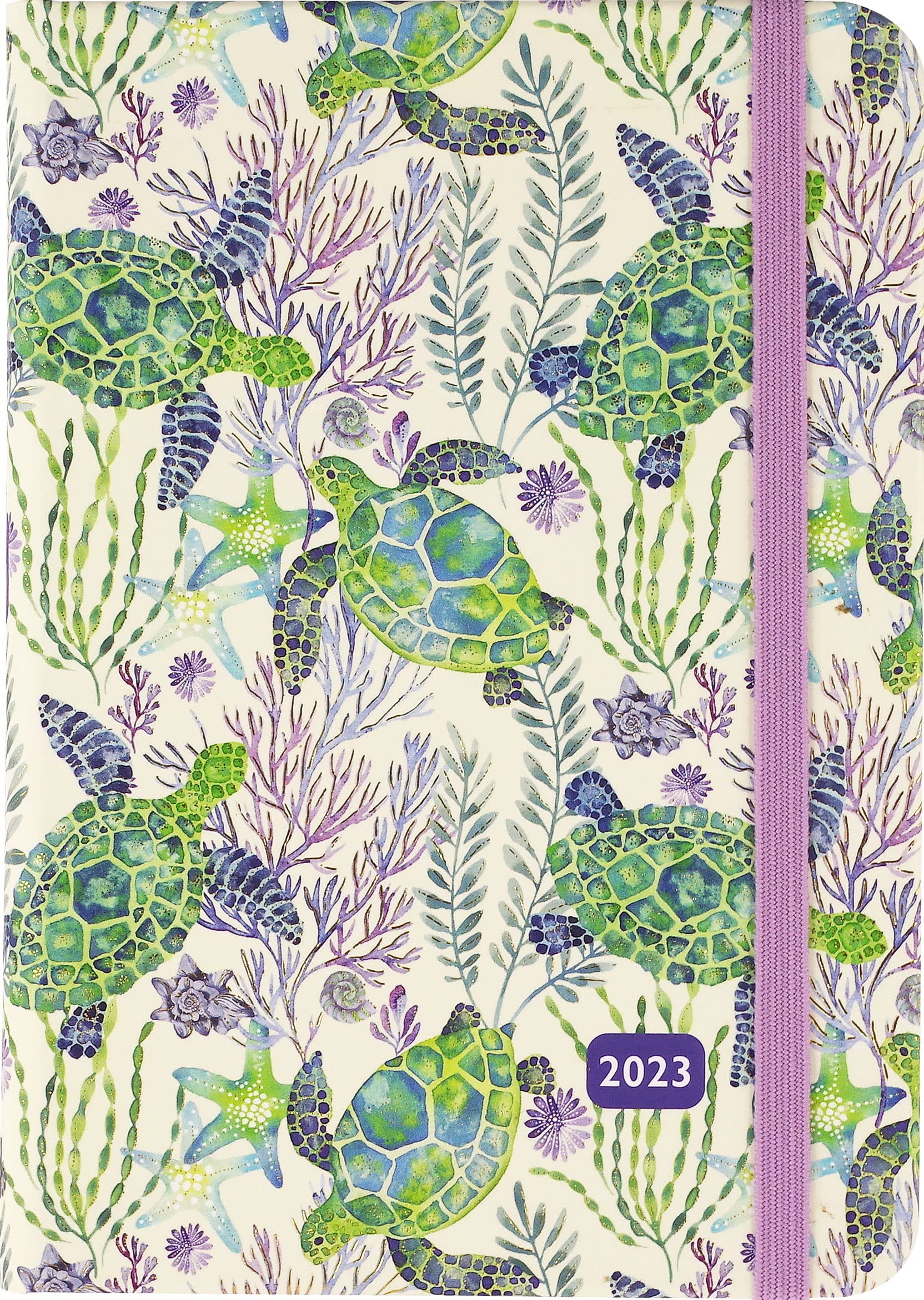 2023 Sea Turtles Weekly Planner (16 months, Sept 2022 to Dec 2023 ...