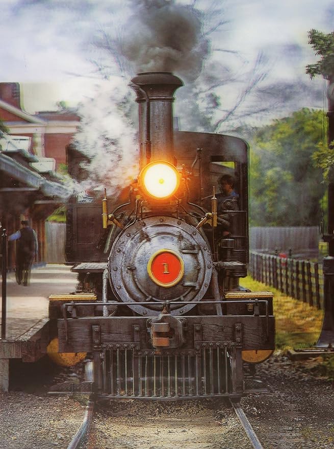 Amazon.com: Those Flipping Pictures Trains Changing 3D UNFRAMED ...