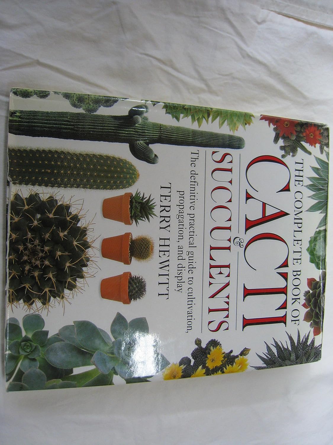 The Complete Book of Cacti and Succulents : The Definitive Practical ...