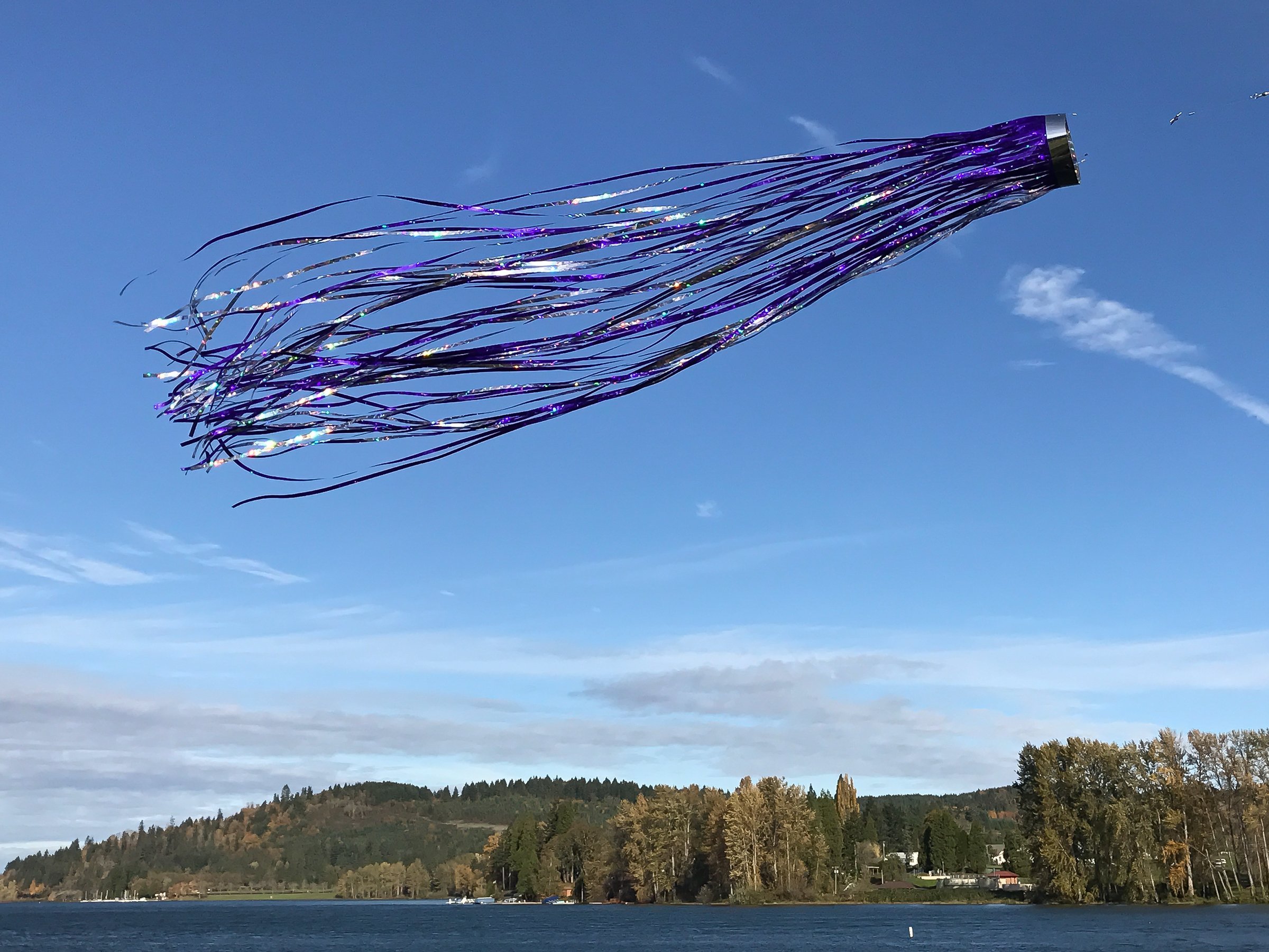 Snapklik.com : In The Breeze 9056 Purple Mylar Holographic Windsock