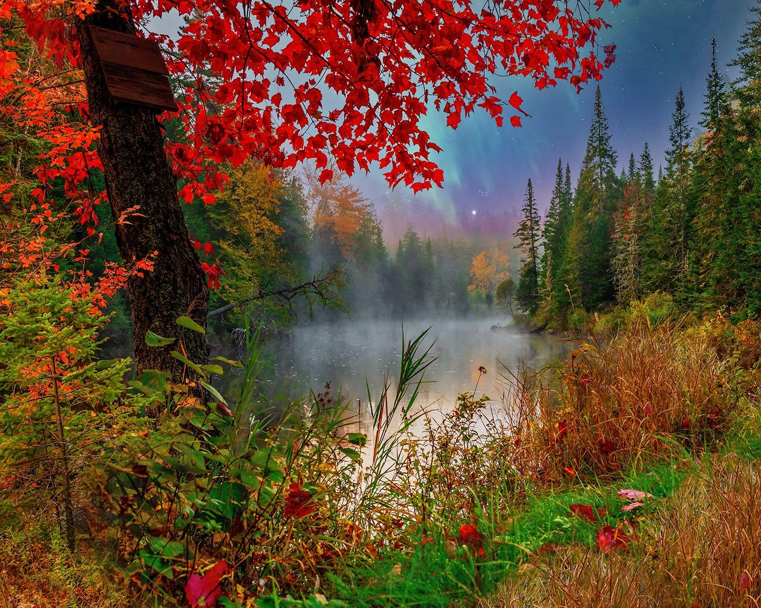 Amazon.com: Springbok's Early Dawn on The Lake 1000 Piece Puzzle for ...