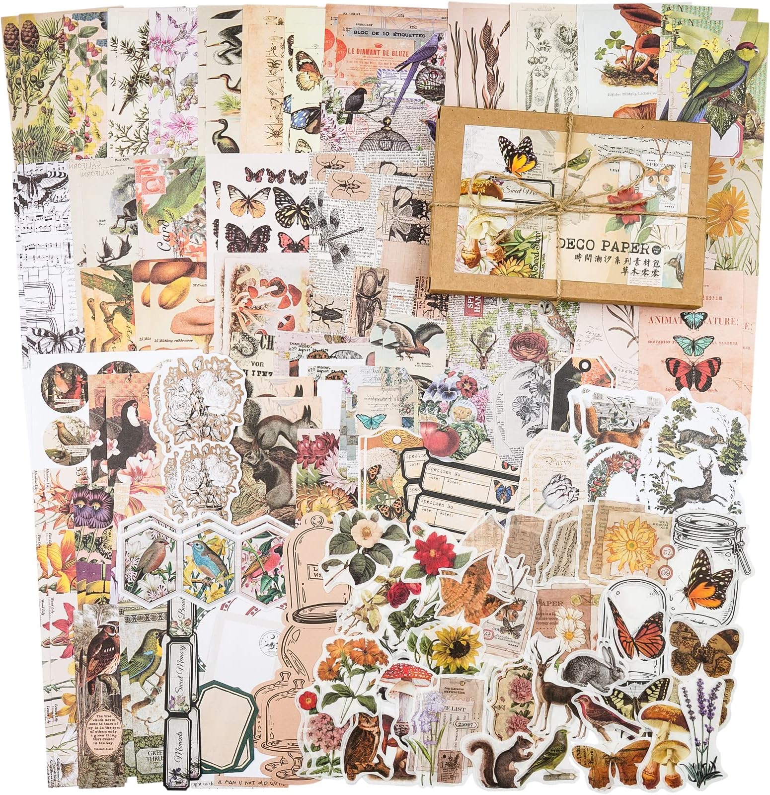 Amazon.com: 260 Pieces Vintage Scrapbook Supplies Pack, Decorative ...