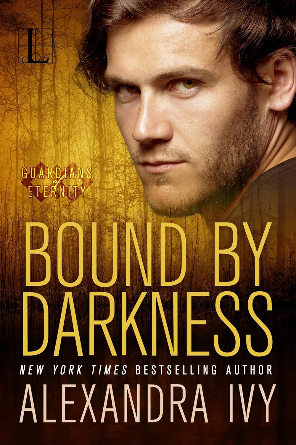 Amazon.com: Bound By Darkness (Guardians Of Eternity): 9781420111361 ...