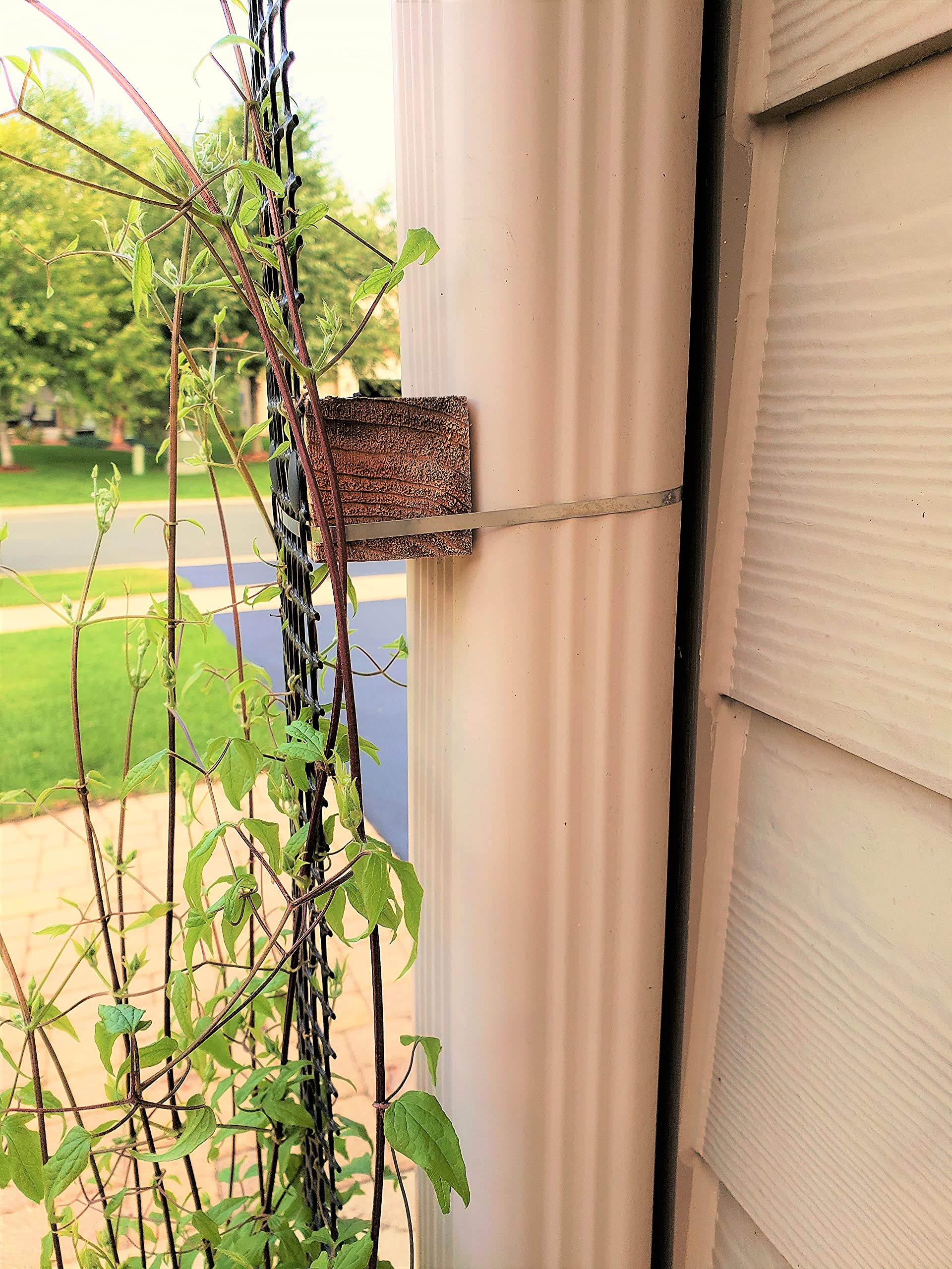 Trellis Rain Gutter Gardening Plant Garden Trellis Downspout Trellis