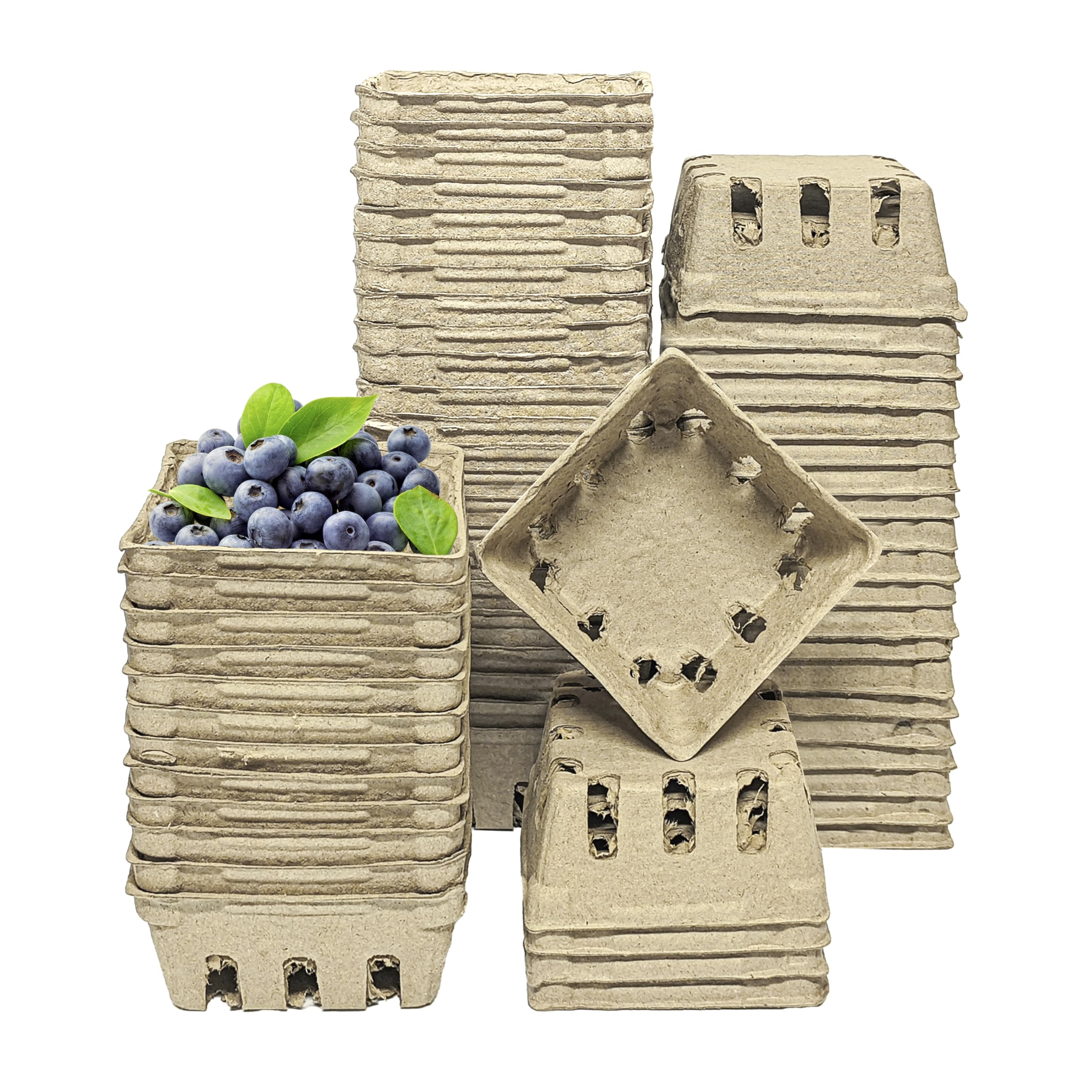 Amazon.com: QZV 60 Pack Pulp Fiber Berry Basket,Molded Berry Basket ...