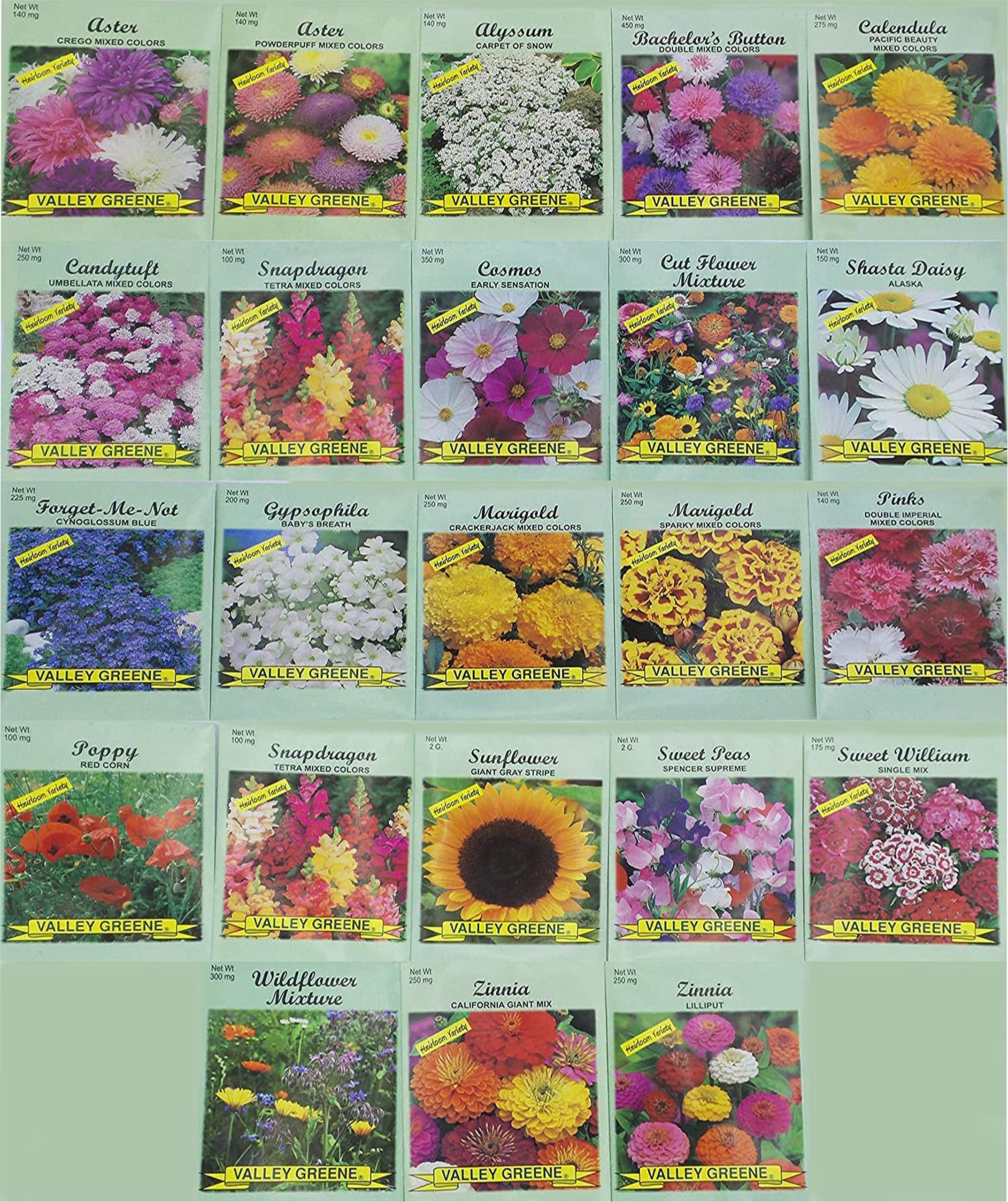 Amazon.com : SUSTAINABLE SPROUT Flower Seeds Variety Pack of 8: Zinnia ...