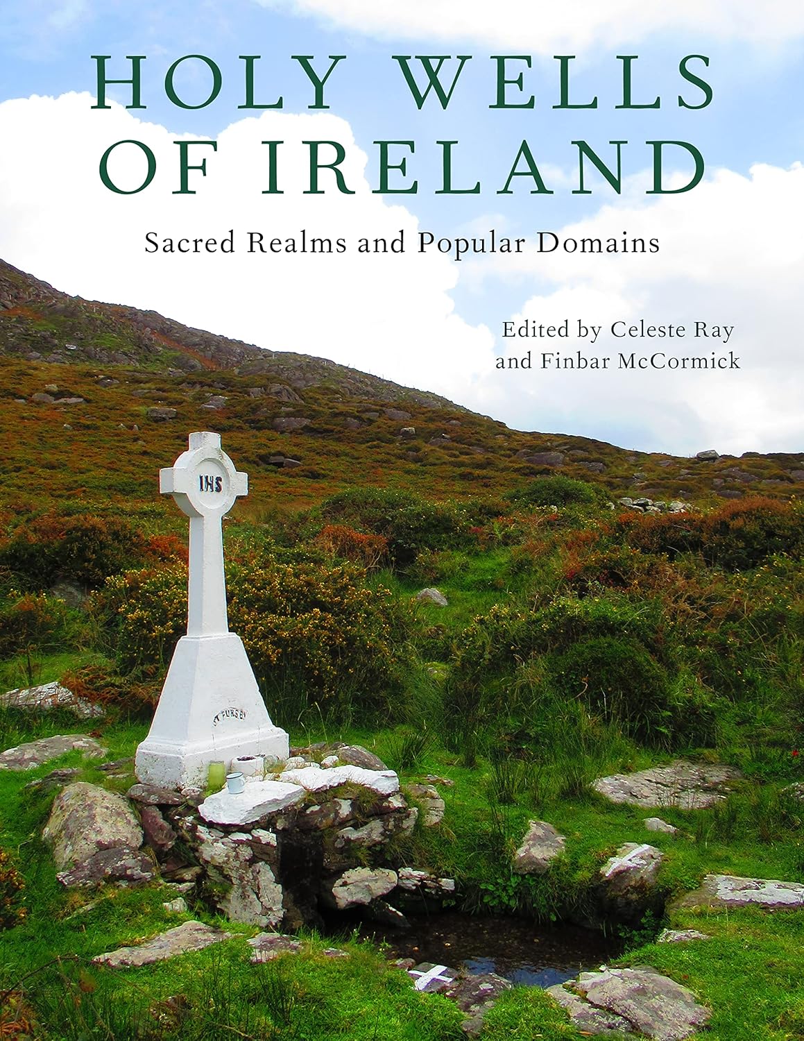 Holy Wells of Ireland: Sacred Realms and Popular Domains (Irish Culture ...