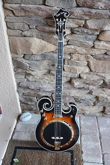 Amazon.com: Gold Tone EBM-5+ 5-String Electric Banjo : Musical Instruments