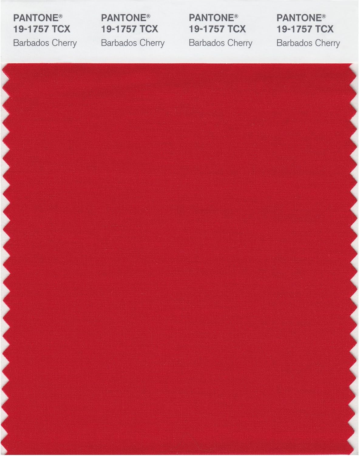 Pantone 19-1757 TCX Smart Color Swatch Card, Barbados Cherry, House ...