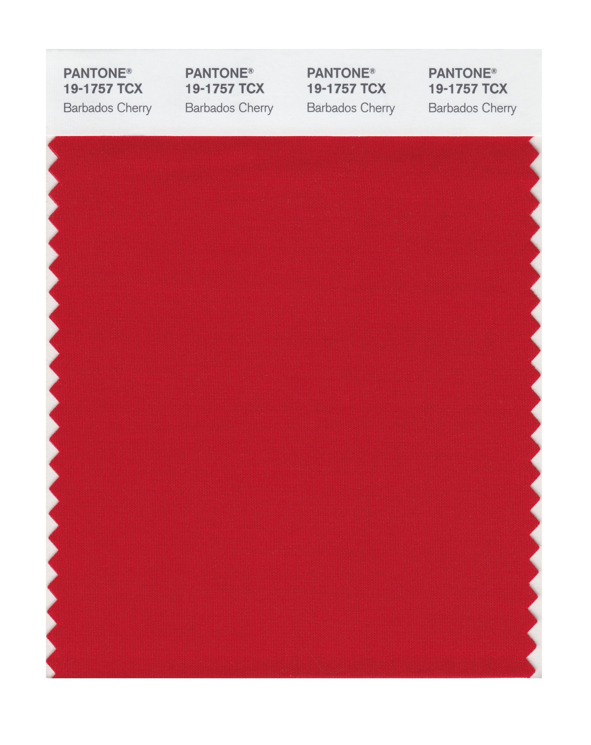 Pantone Red Cherry