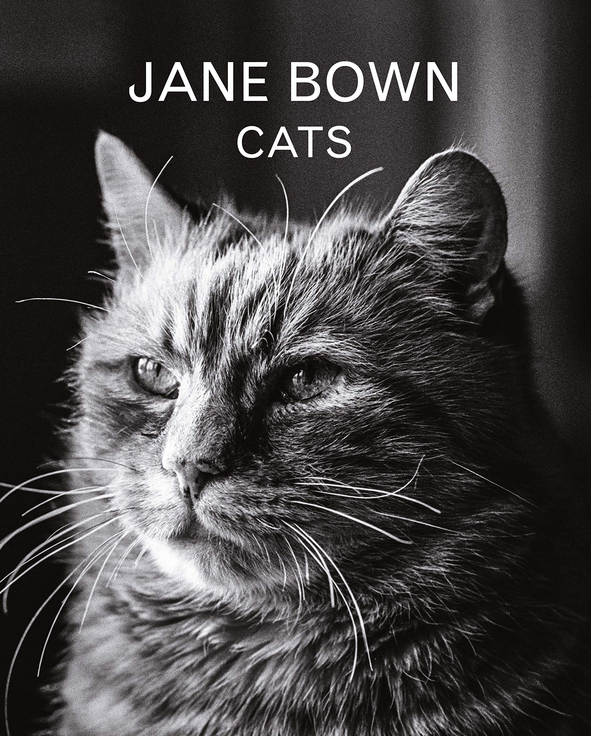 Jane Bown: Cats: Amazon.co.uk: Bown, Jane: 9781783350872: Books