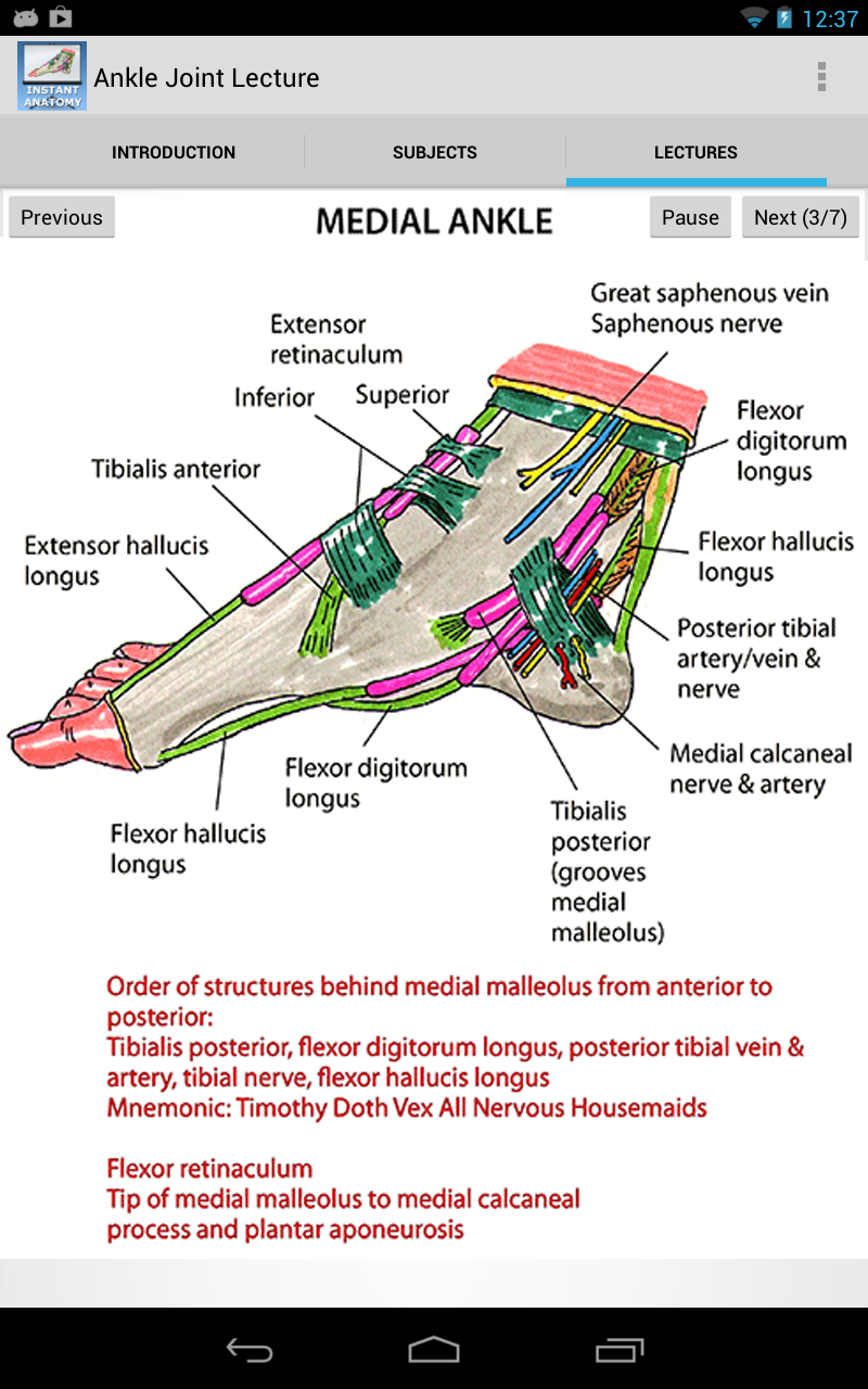 Anatomy of the Ankle Joint - App on Amazon Appstore