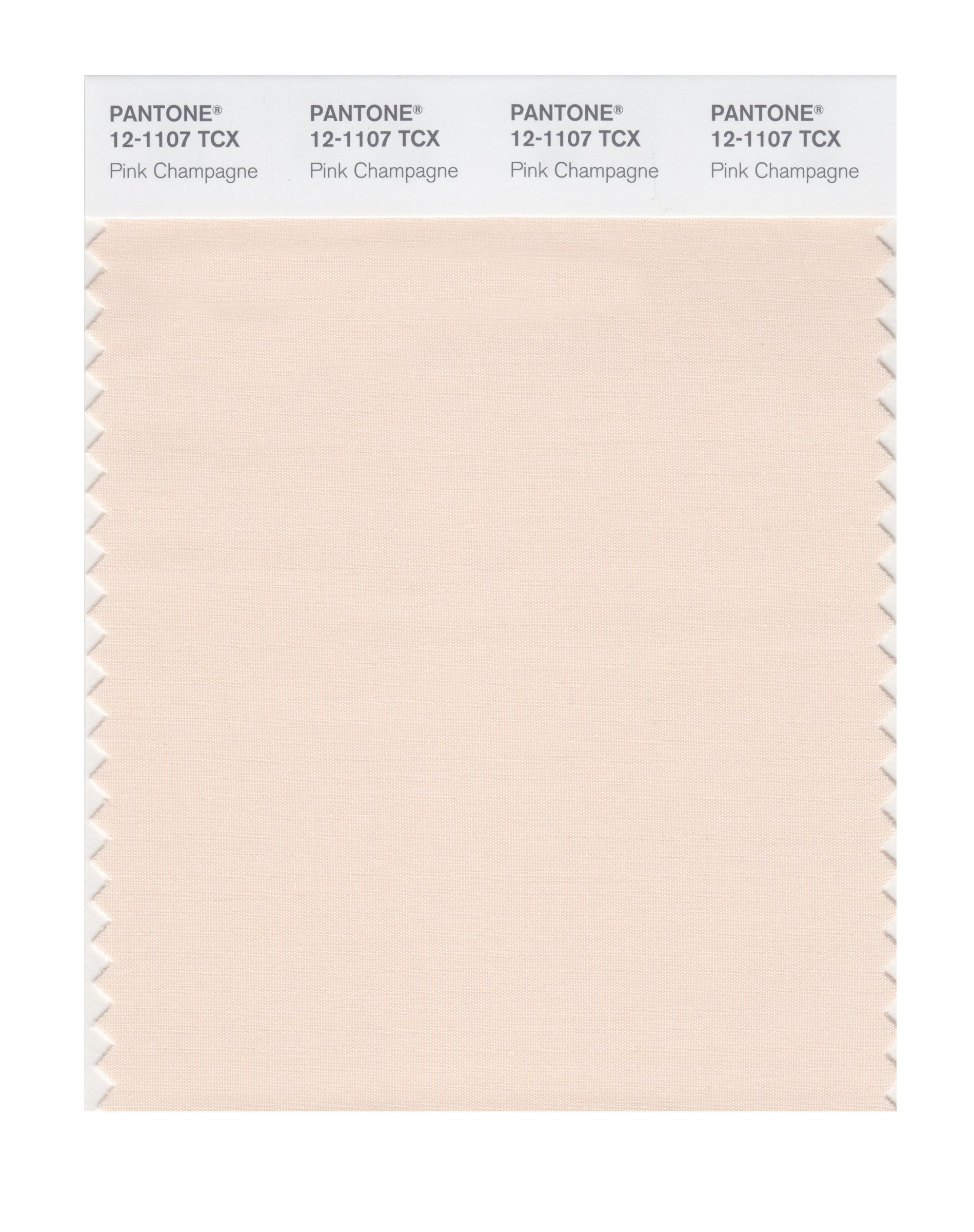 Champagne Color Pantone