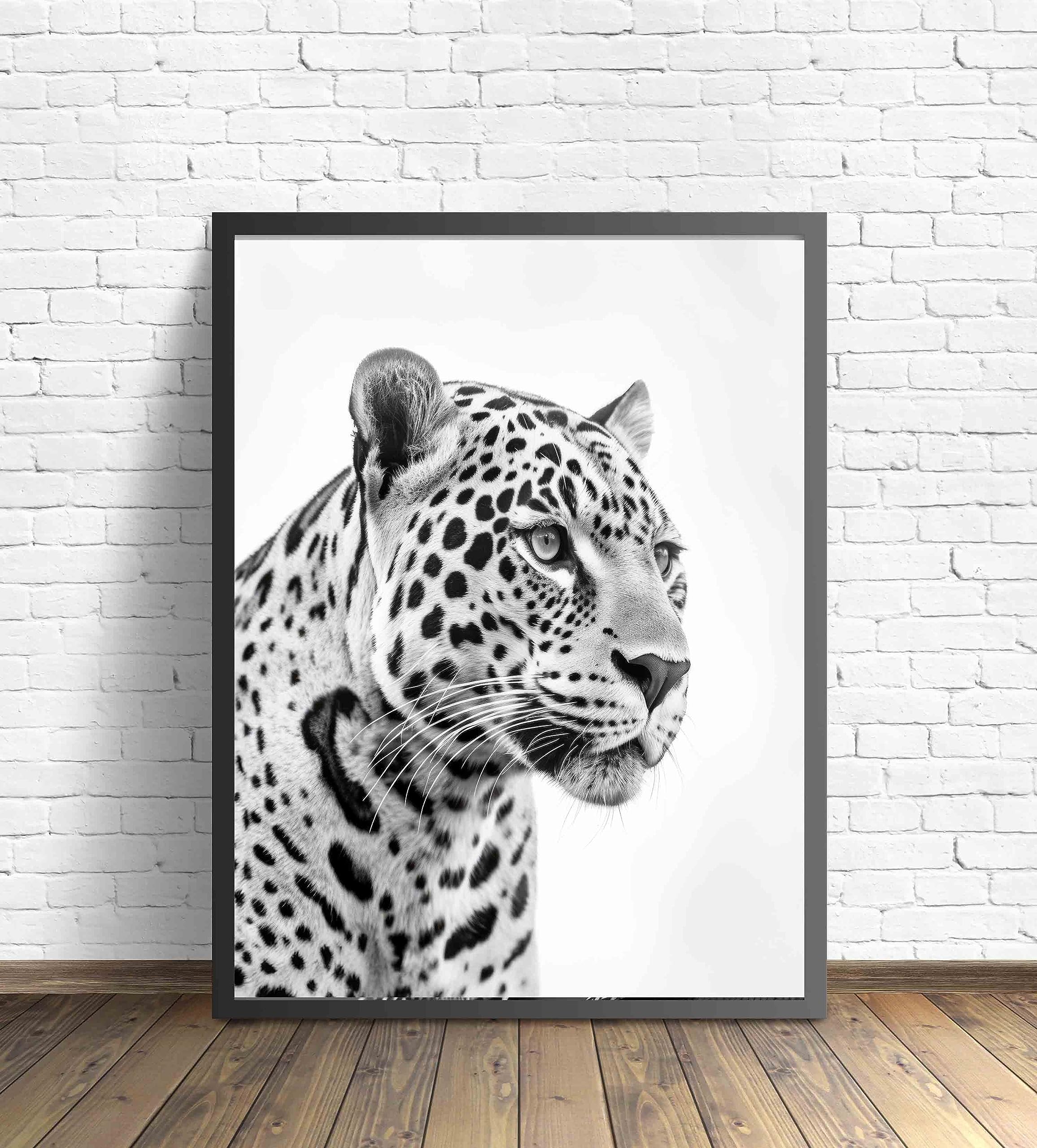 clearance Jaguar Photography - Original Fine Art Nature Photography ...