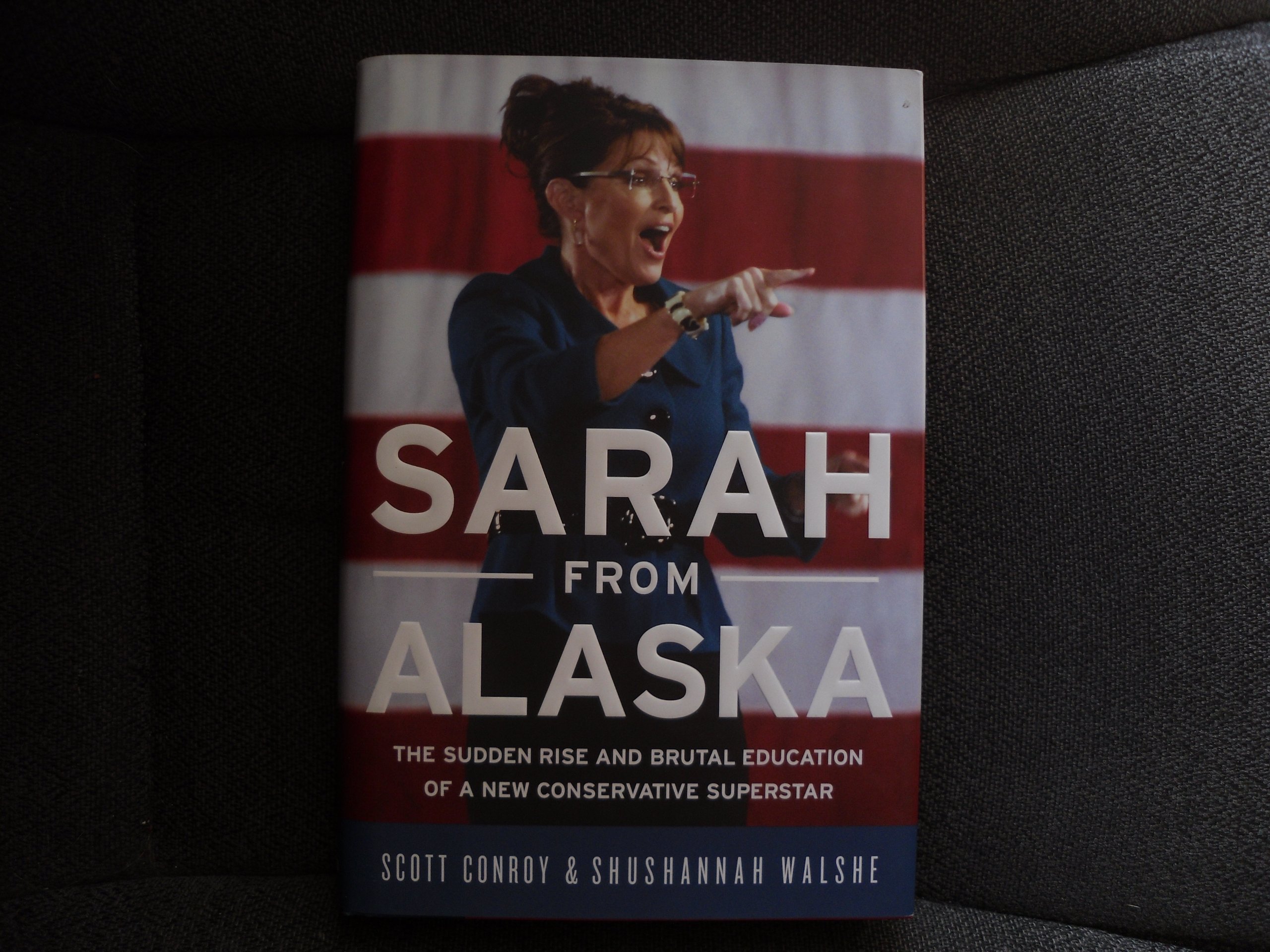 Sarah from Alaska: The Sudden Rise and Brutal Education of a New ...