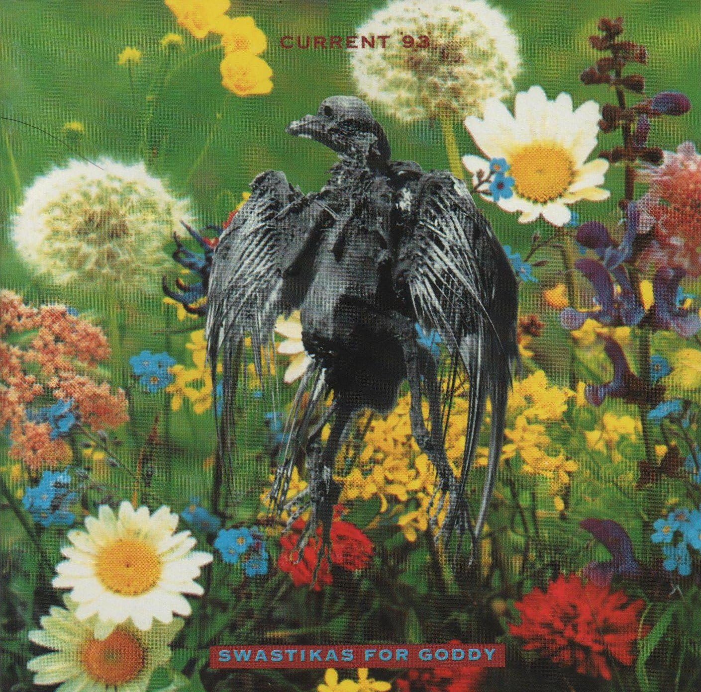 Amazon.co.jp: Swastikas for Goddy: ミュージック