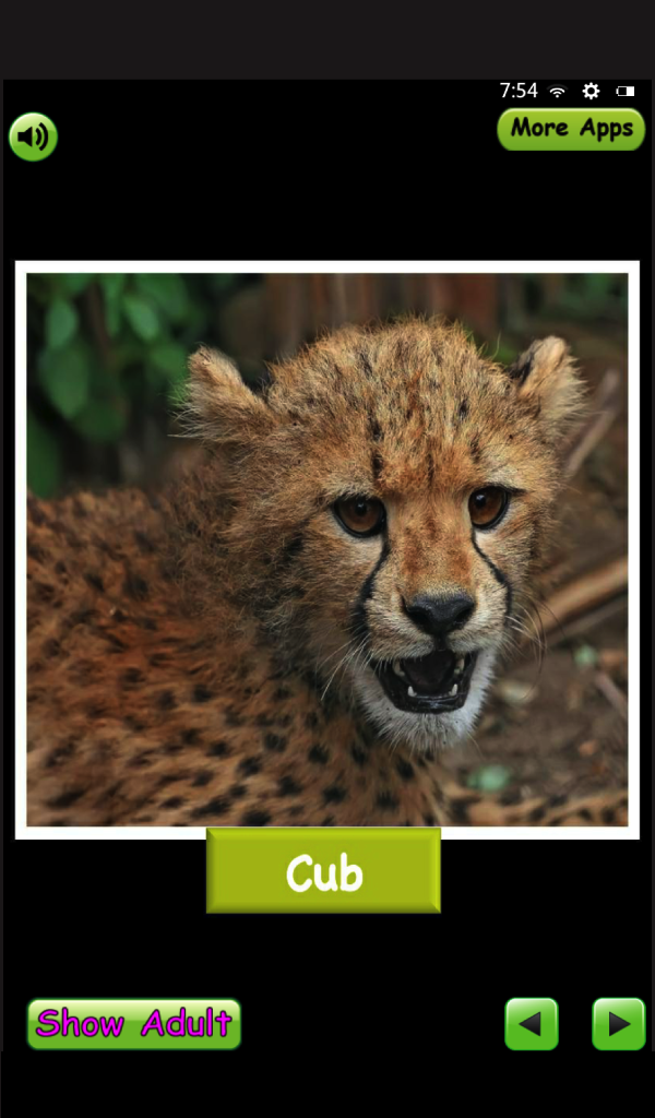 Preschool - Animals and their Young - App on the Amazon Appstore