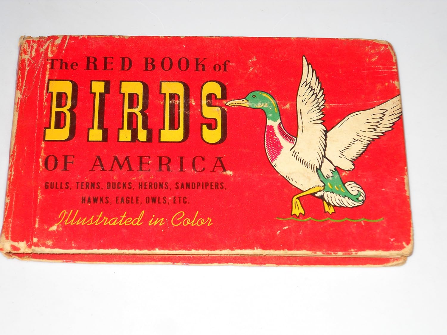 The red book of birds of America: Gulls, terns, ducks, herons ...