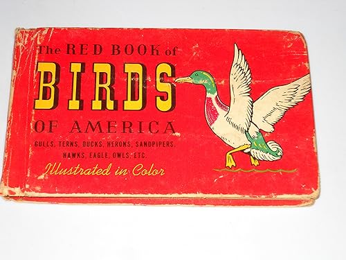 The red book of birds of America: Gulls, terns, ducks, herons ...
