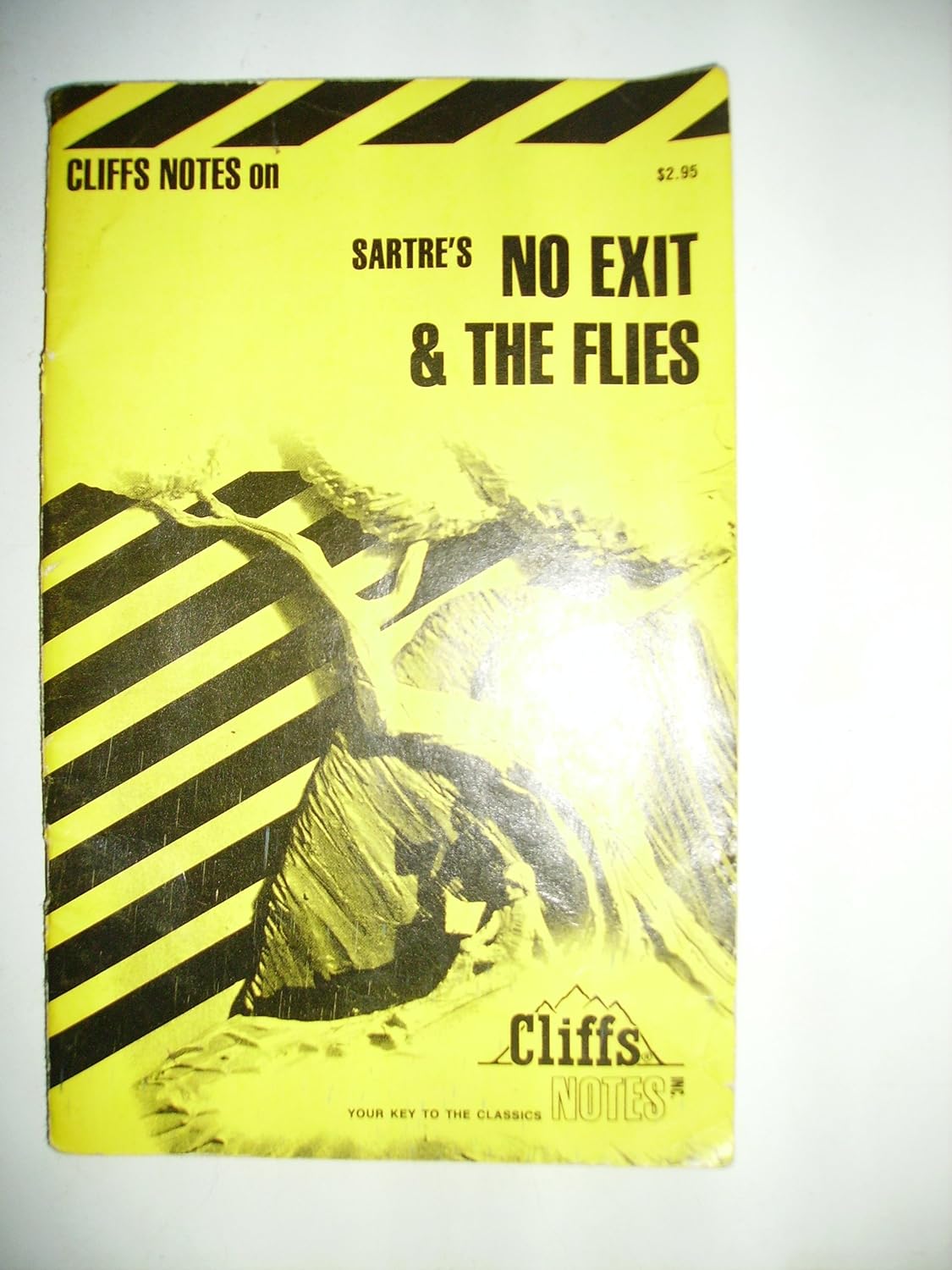 Amazon.com: No Exit and the Flies: 9780822009047: Sartre, Jean-Paul: Books