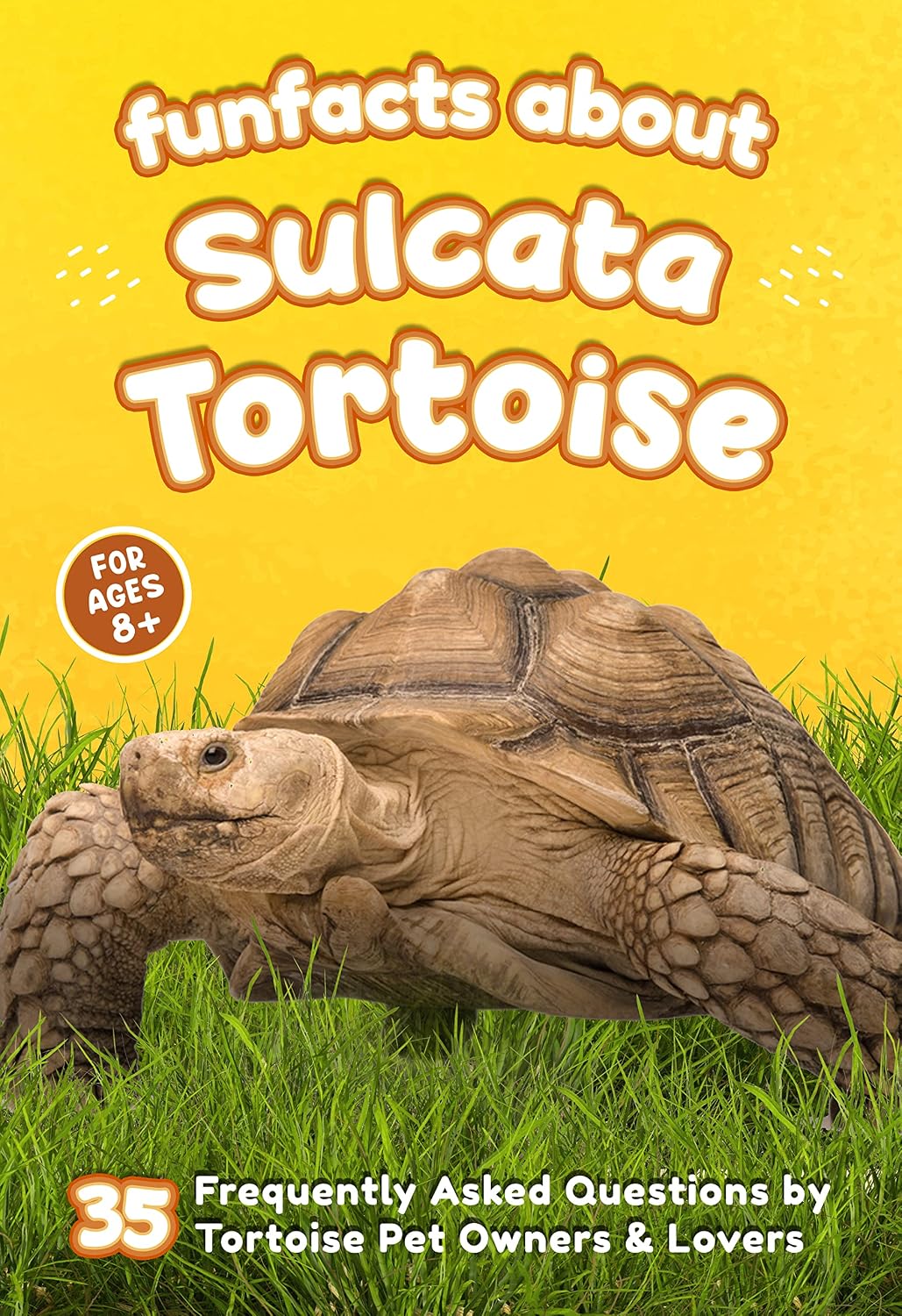 Fun Facts About Sulcata Tortoise: 35 Frequently Asked Questions by ...