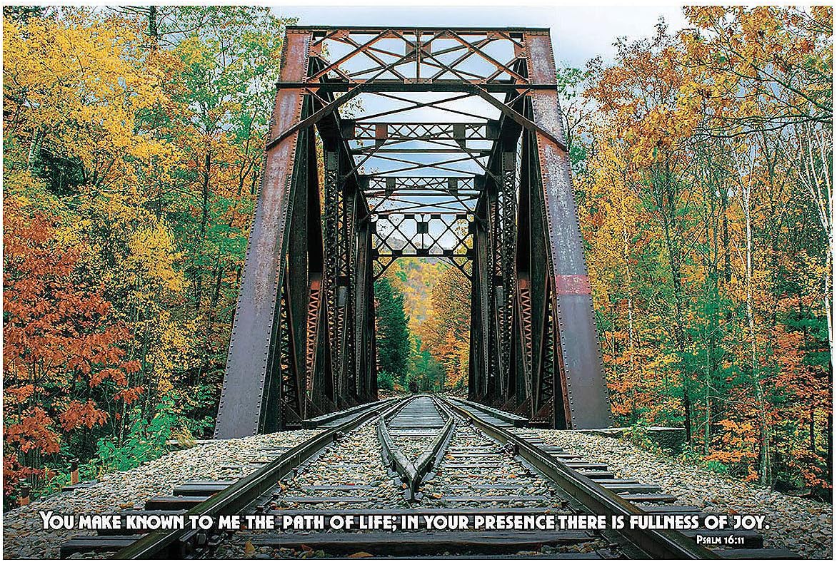 Amazon.com: Fun Express Railroad VBS Train Tracks Backdrop, 9 ft. x 6 ...