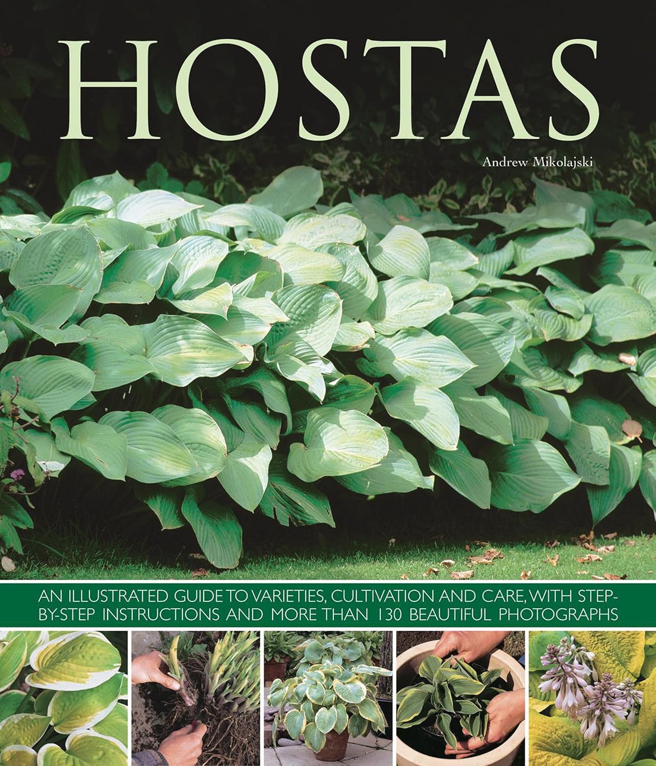 Hostas: An Illustrated Guide to Varieties, Cultivation and Care: an ...