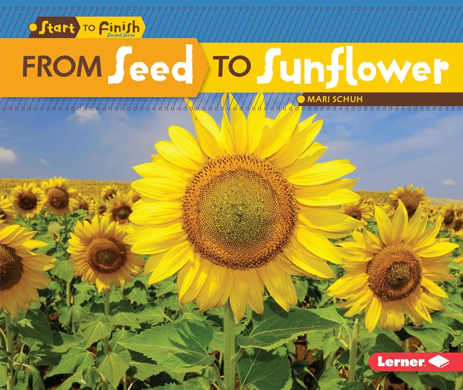 From Seed to Sunflower (Start to Finish, Second Series): Mari Schuh ...