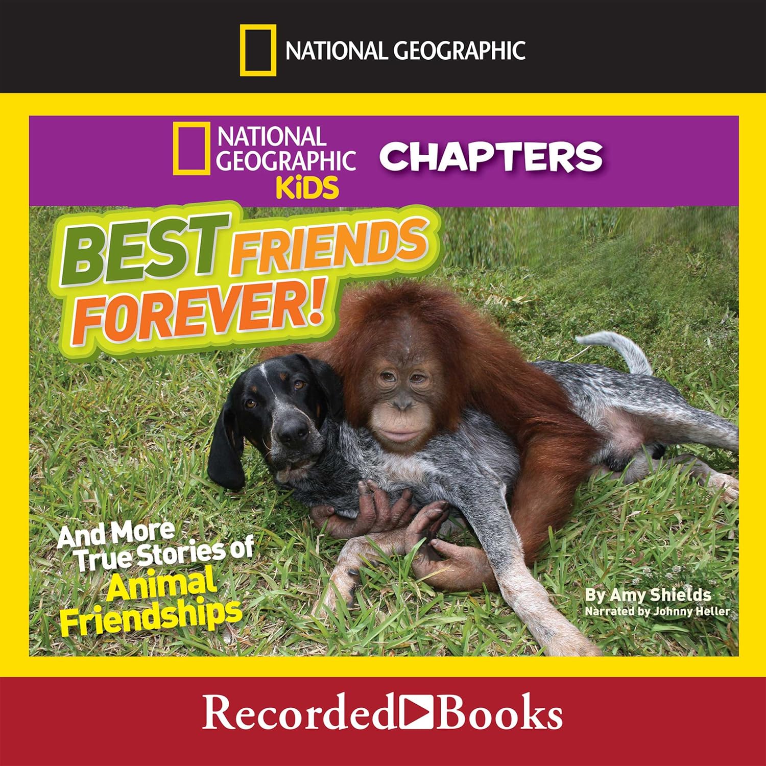 Amazon.com: Best Friends Forever and More True Stories of Animal ...