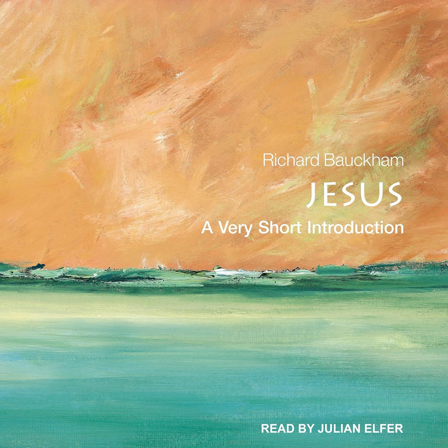 Amazon.com: Jesus: A Very Short Introduction (Audible Audio Edition ...
