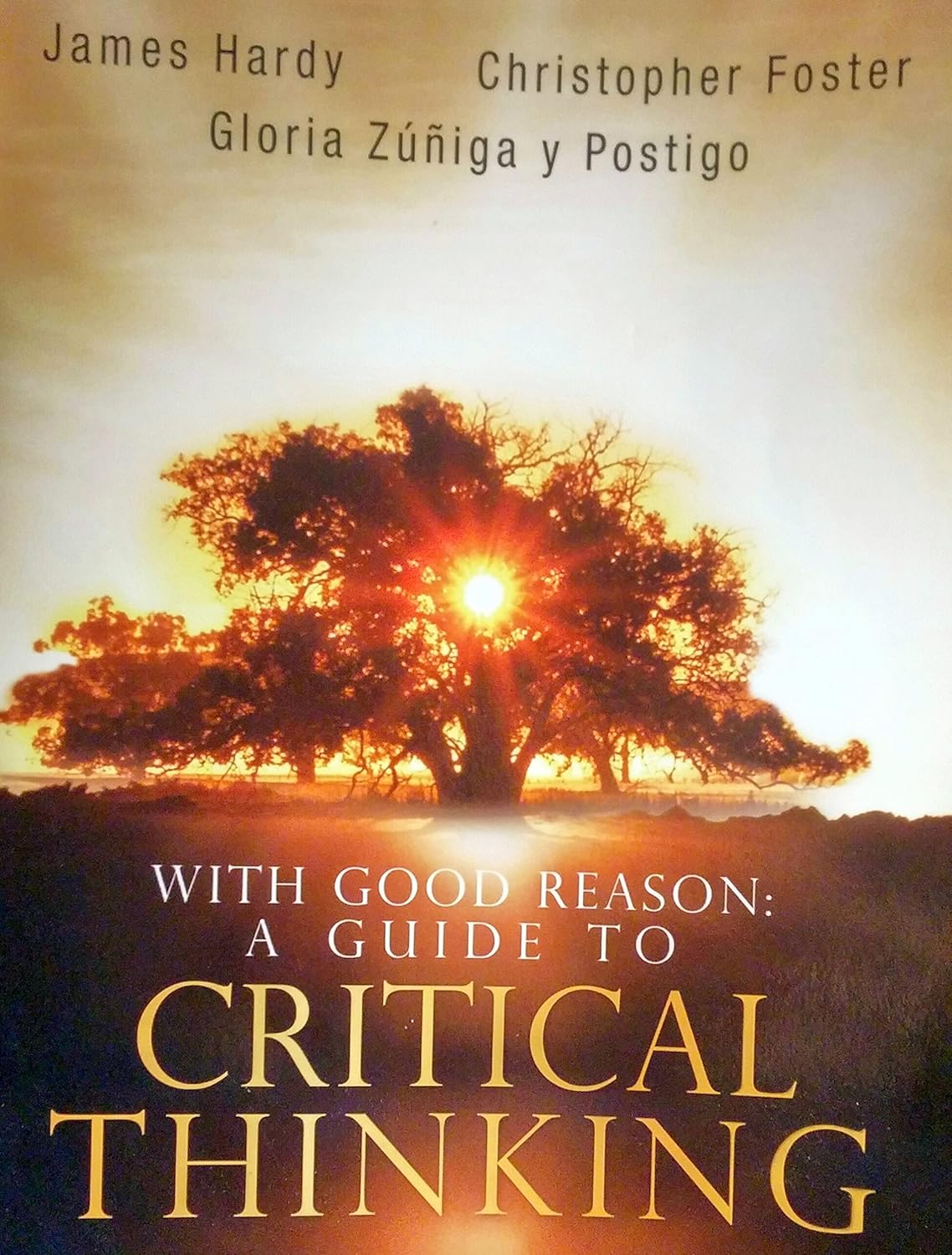 With Good Reason: A Guide to Critical Thinking: Amazon.co.uk ...
