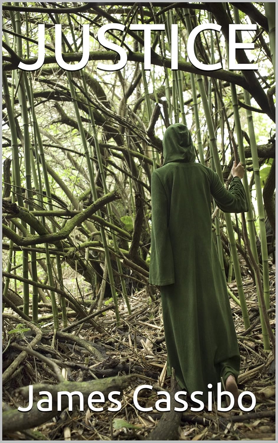 Amazon.com: JUSTICE eBook : Cassibo, James: Kindle Store