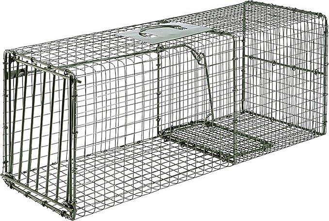 Amazon.com : Duke Traps Heavy Duty Large Cage Trap : Rodent Traps ...
