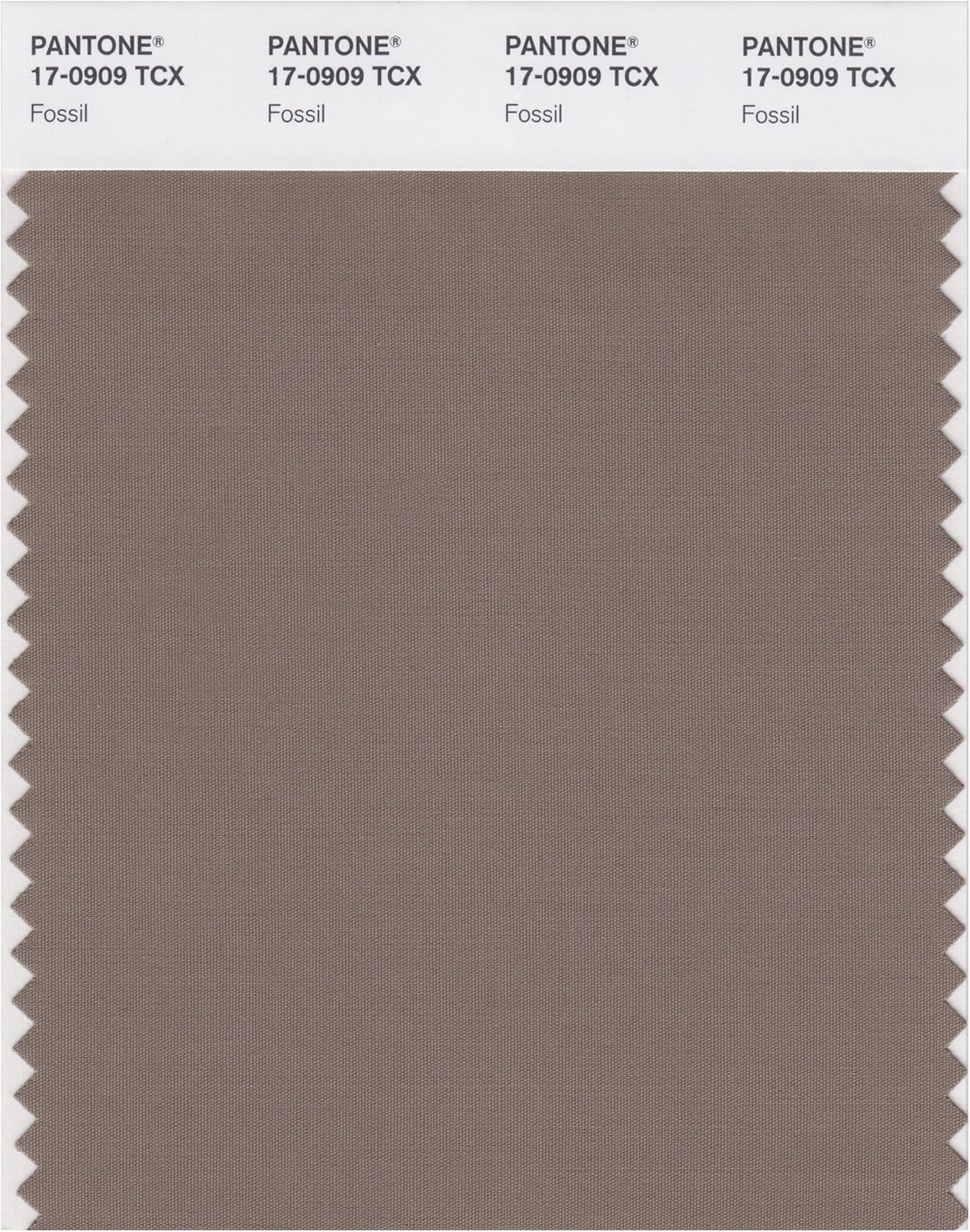 PANTONE Smart 17-0909X Color Swatch Card, Fossil - House Paint - Amazon.com