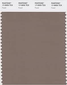 PANTONE Smart 17-0909X Color Swatch Card, Fossil - House Paint - Amazon.com