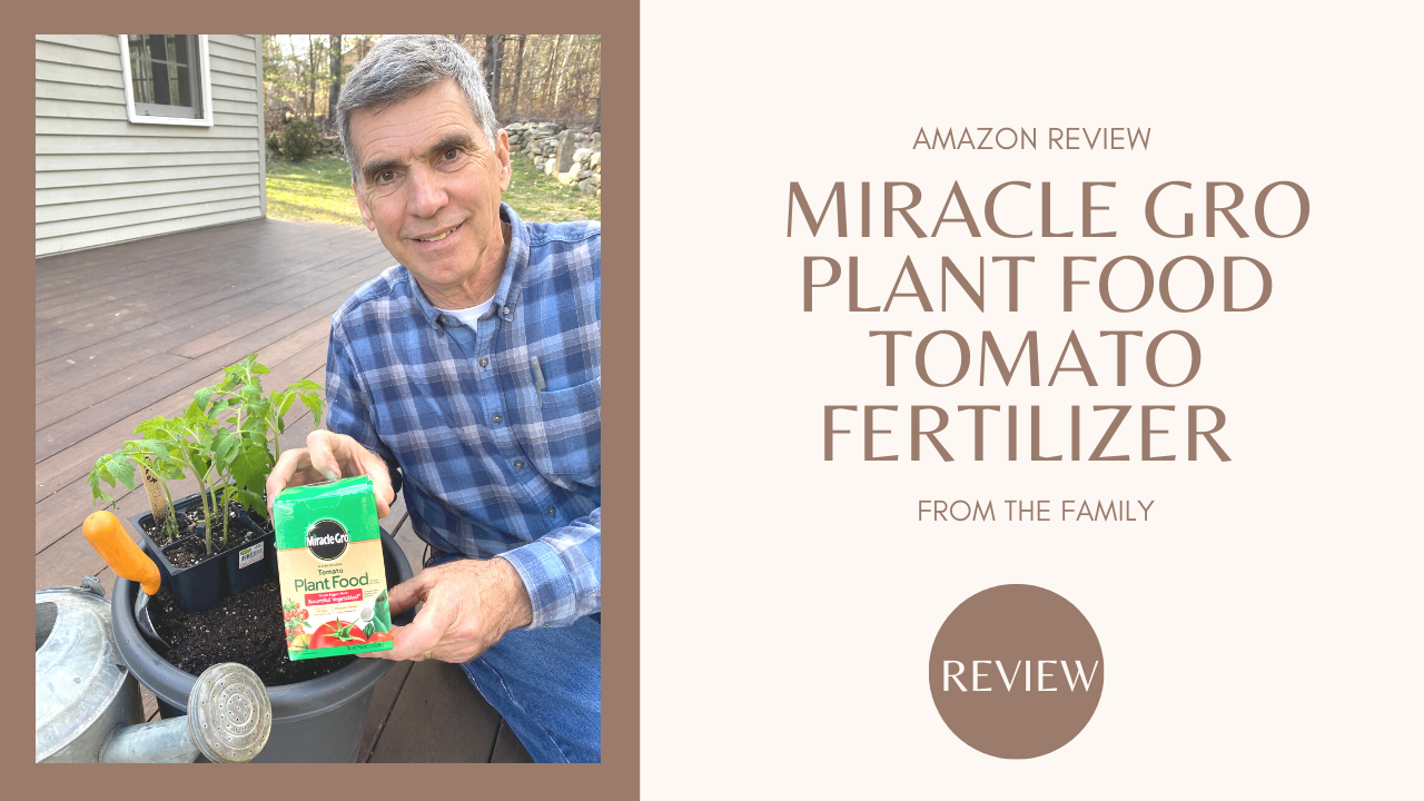 Watch Miracle Gro Plant Food Tomato Fertilizer Review on Amazon Live