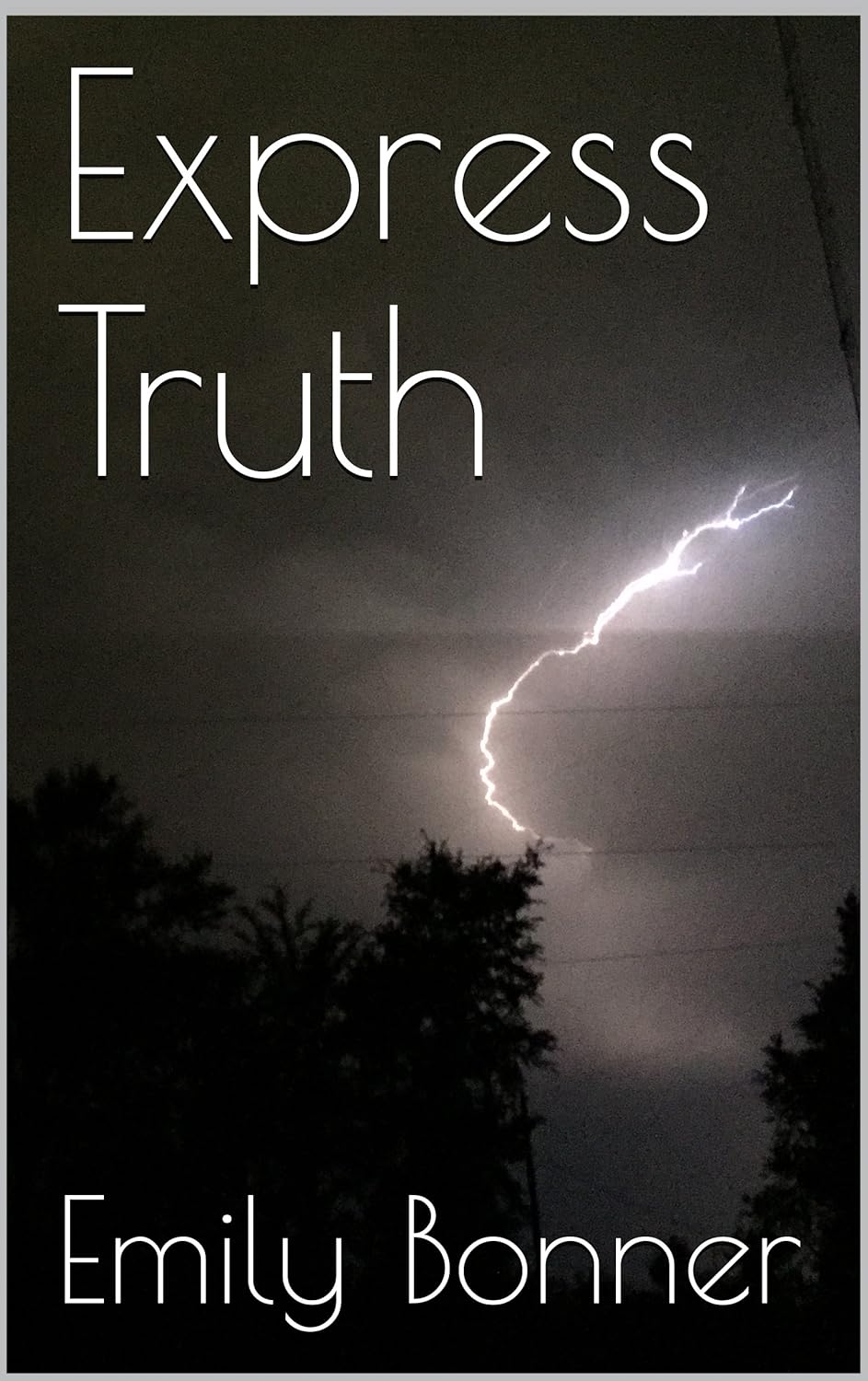 Amazon.com: Express Truth (Truth Series Book 1) eBook : Bonner, Emily ...