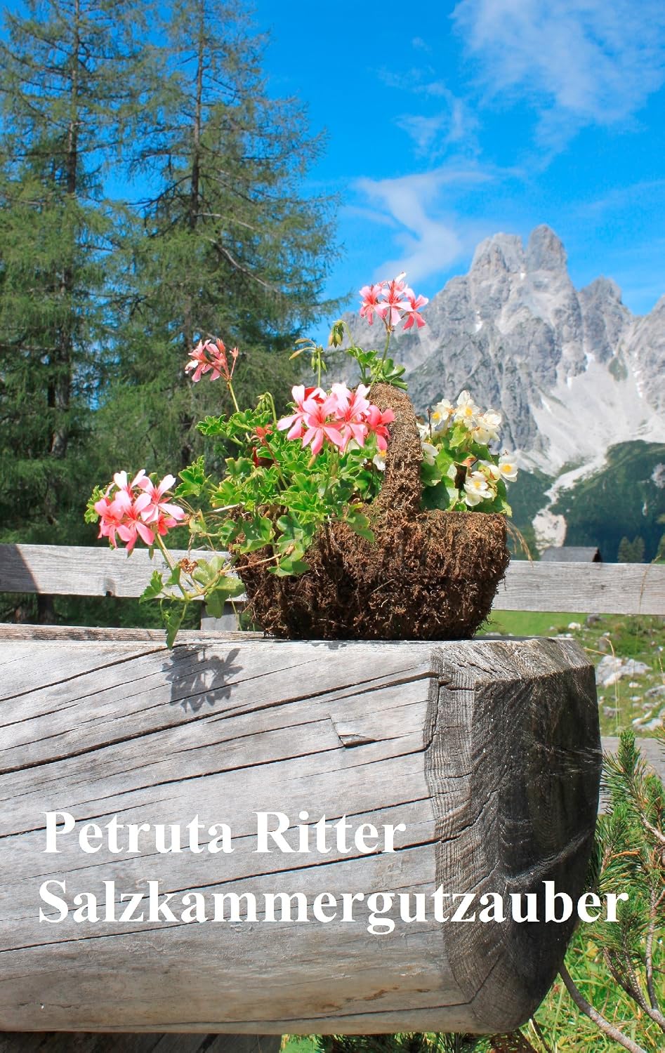 Amazon.com: Salzkammergutzauber (German Edition): 9783732291045: Ritter ...