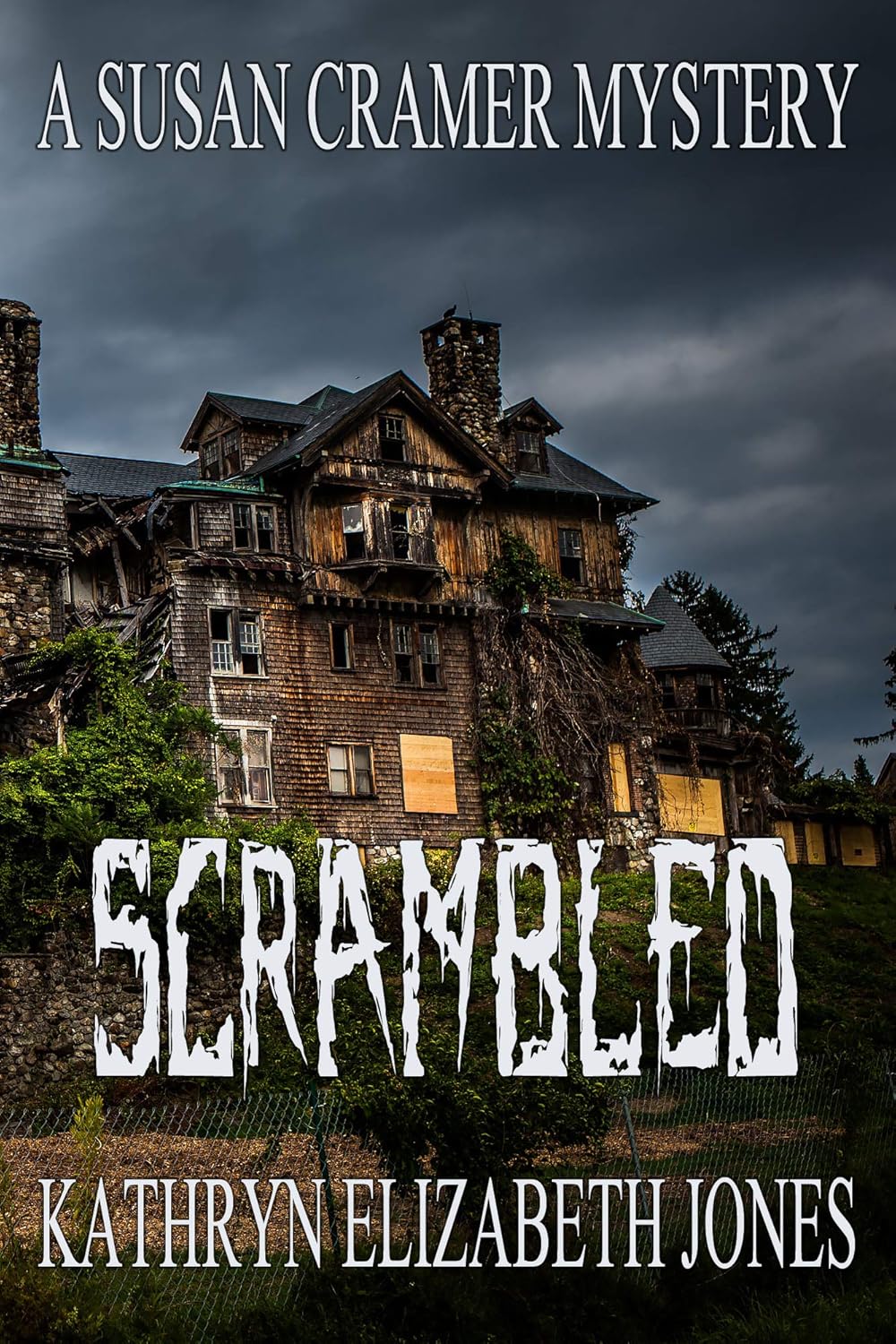 Amazon.com: Scrambled (A Susan Cramer Mystery Book 1) eBook : Jones ...