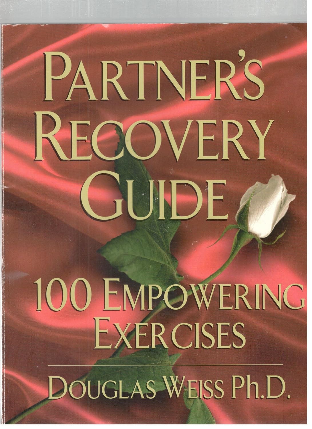 Partners Recovery Guide : 100 Empowering Exercizes by Weiss, Douglas ...