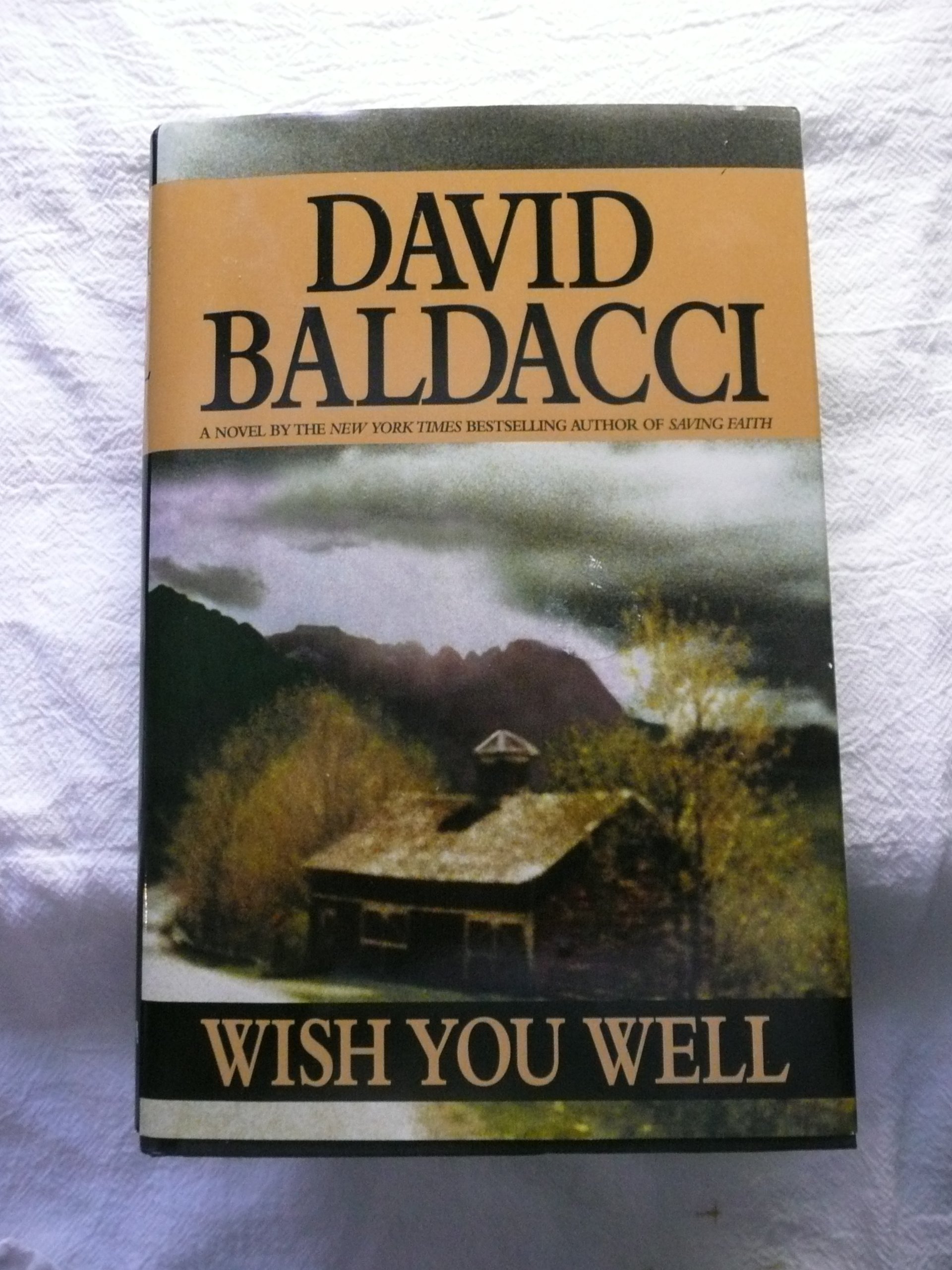 Wish You Well: Baldacci, David: 9780739413449: Amazon.com: Books