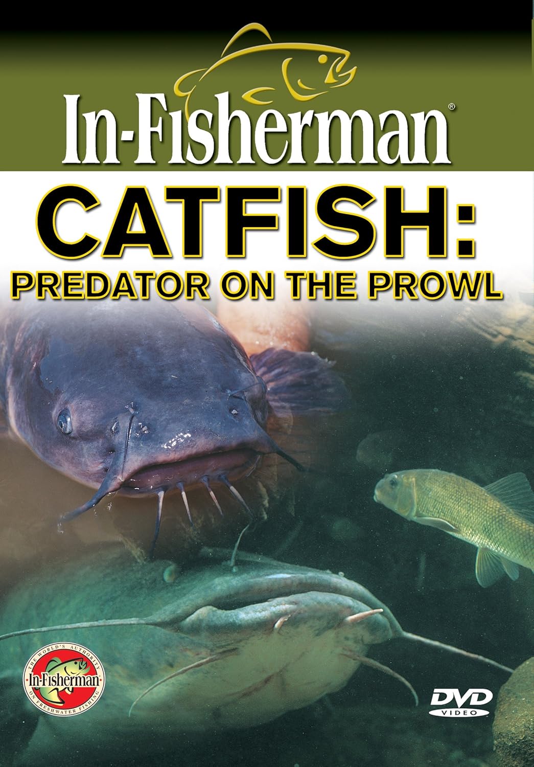 Amazon.com: In-Fisherman Catfish: Predator On The Prowl DVD : In ...